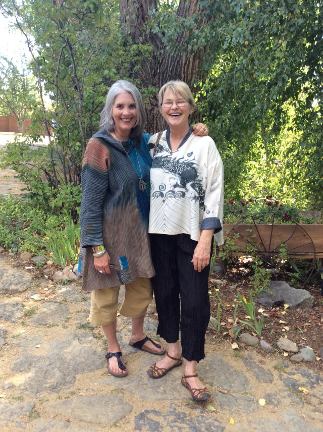 A lot of Diane Ericson with a Holly Bagdley addition! | Inspired Sewing ...